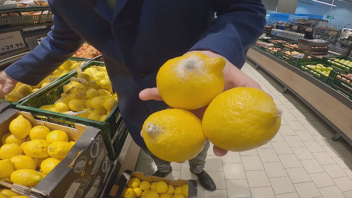 Projekt televize Nova má první úspěchy. Ceny potravin ale zatím ...