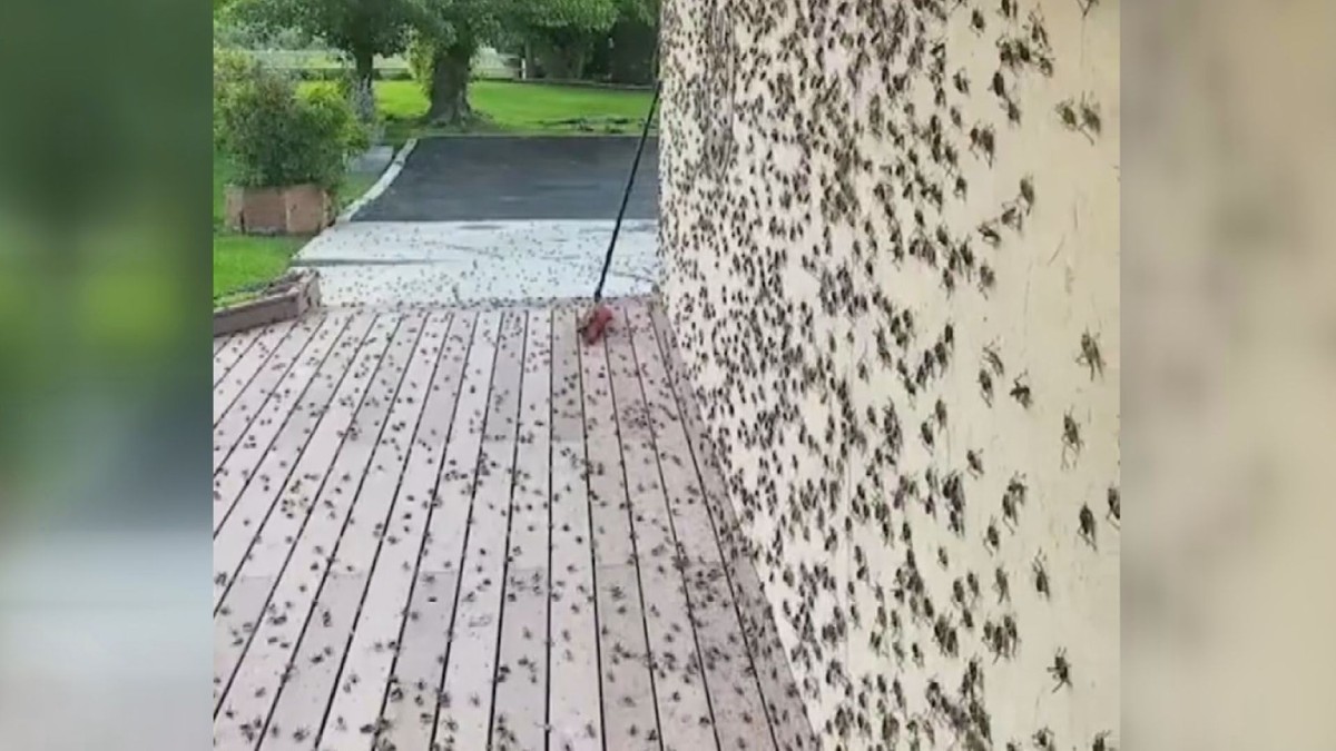 2ebc7cea-ab44-4dbd-94a3-073766d05d6d