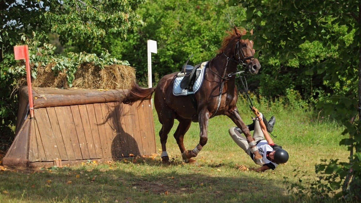 Tragédie na závodech v Neratově. Po pádu z koně zemřela jezdkyně | TN.cz