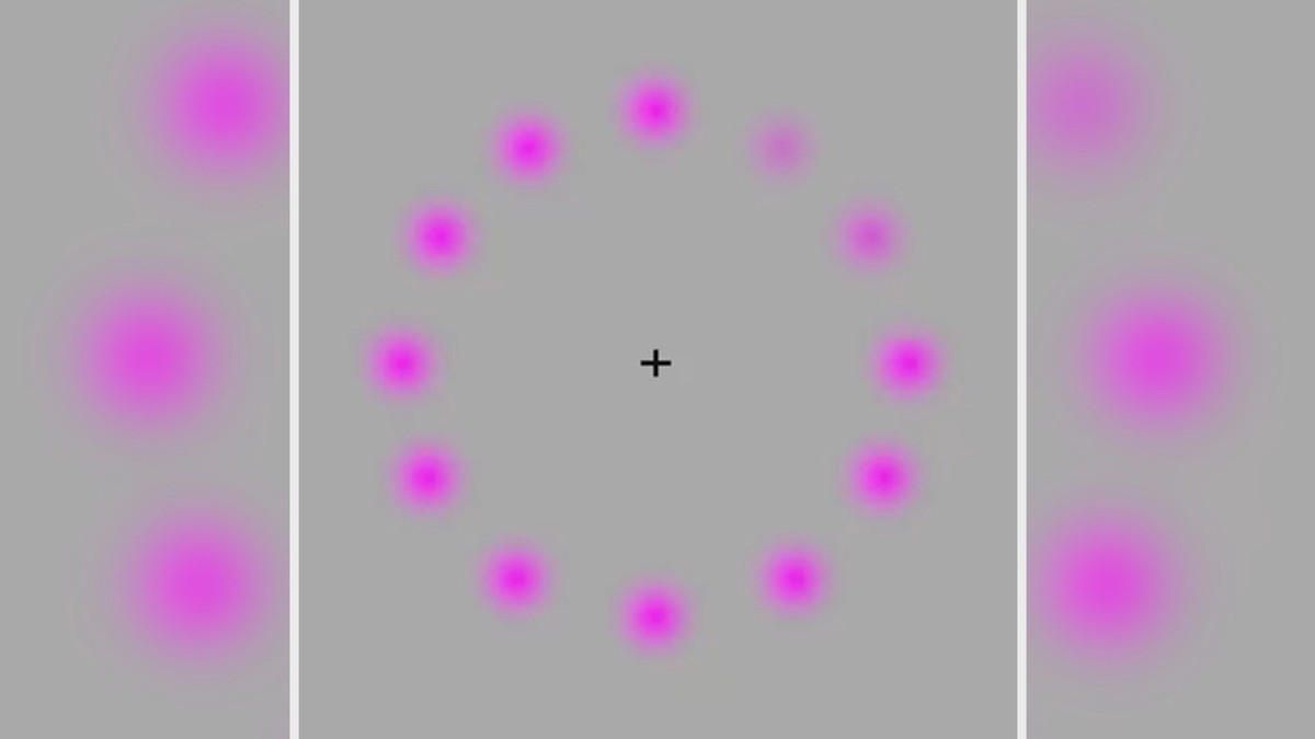 Optická iluze je hitem internetu. Dva jevy vidí všichni, třetí jen ti ...