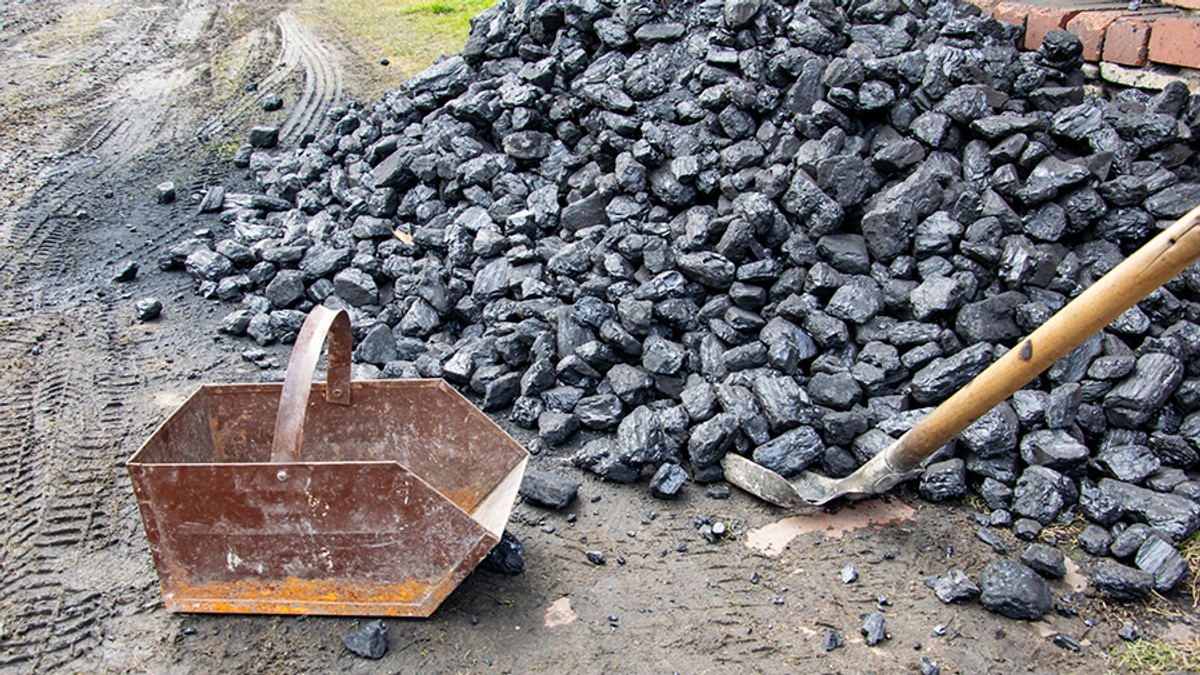 Pozor na uhlí z Polska. Žena si koupila nabarvené kamení, vše odhalil ...