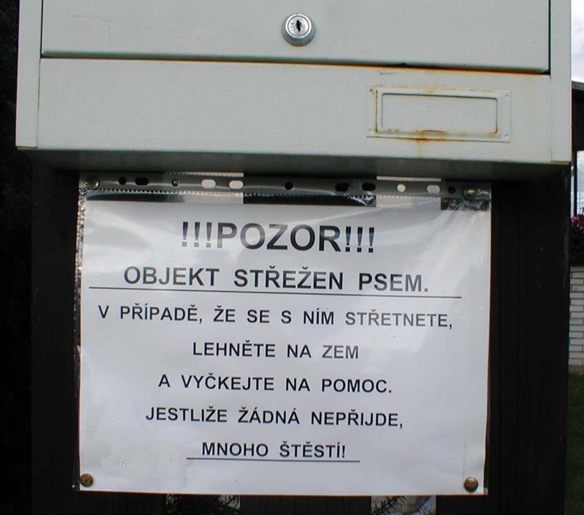 Pozor zlý pes | TN.cz