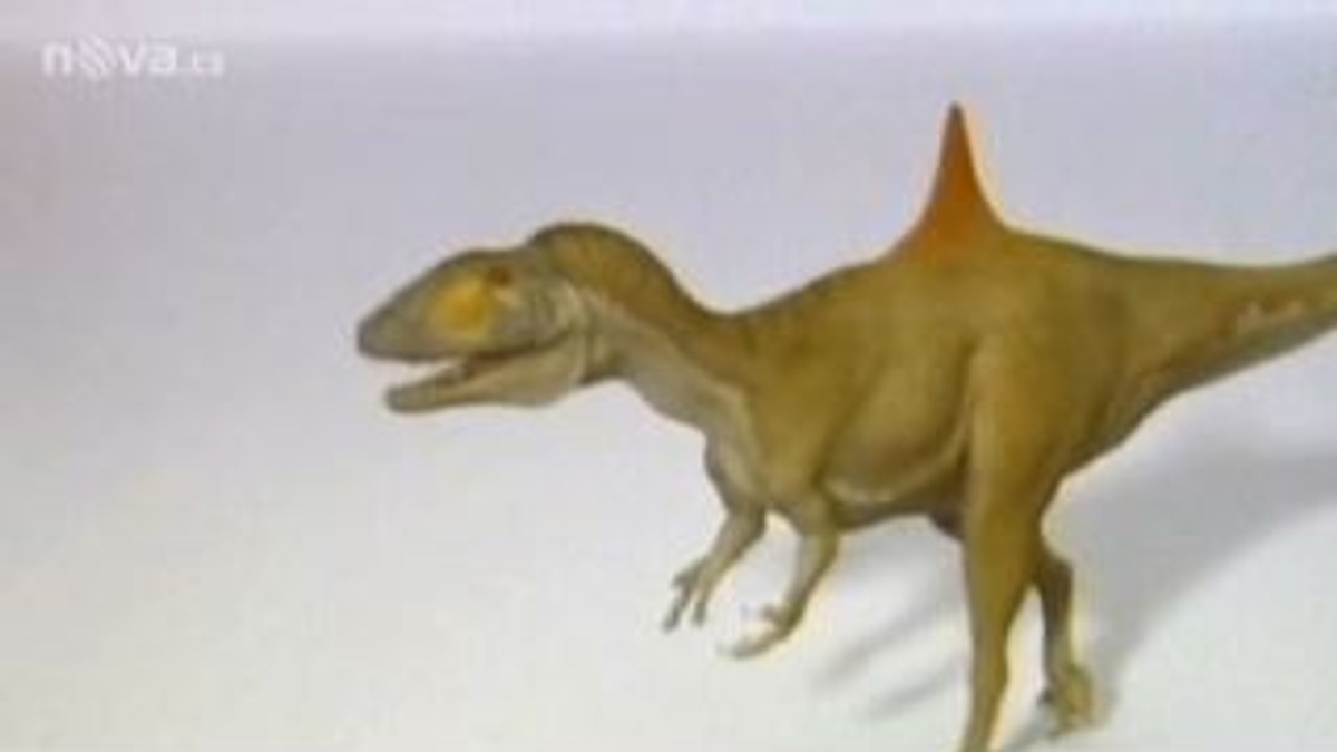 OBJEV: Našli zkamenělého dinosaura. Předchůdce ptáků | TN.cz