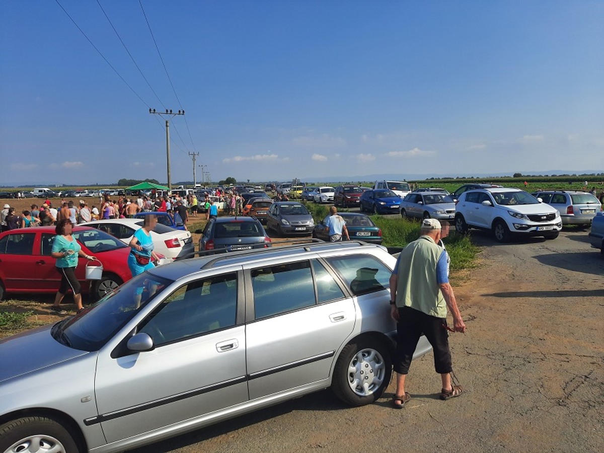 Lidé vzali útokem pole, kde prodávali levnou zeleninu. Doprava ...