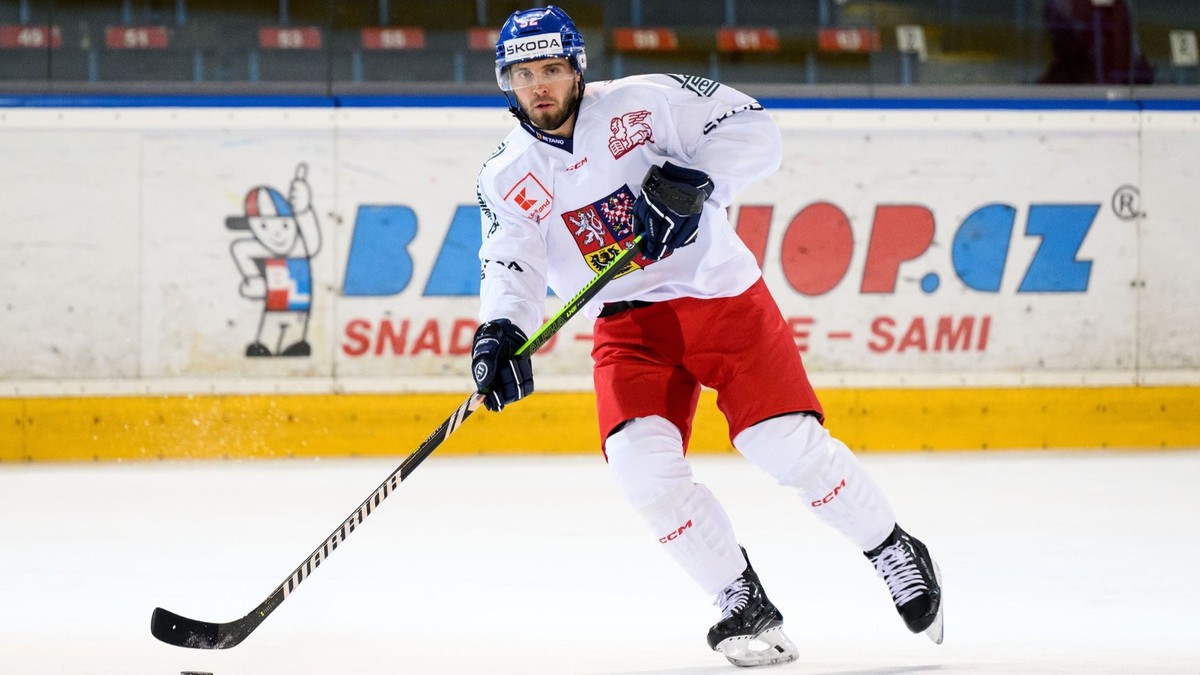 Velká posila pro hokejovou Spartu. Reprezentant může nastoupit hned ...