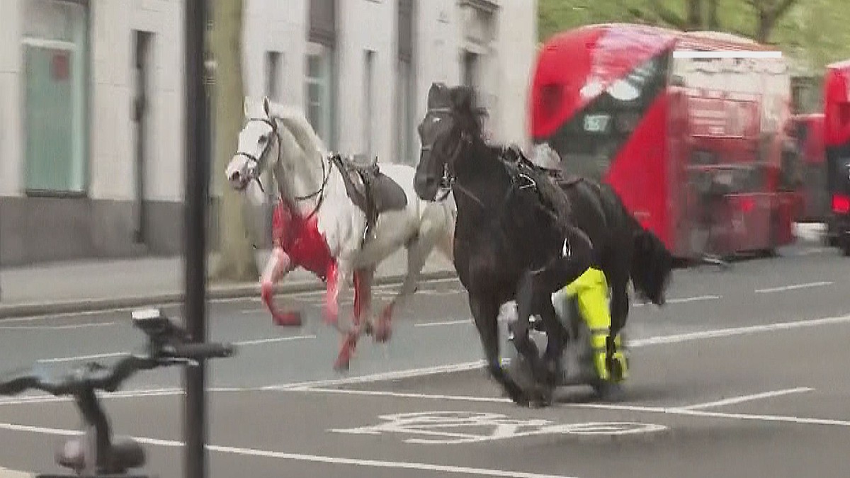 9dfae5f3-df0e-4102-b375-0e7092025b2d