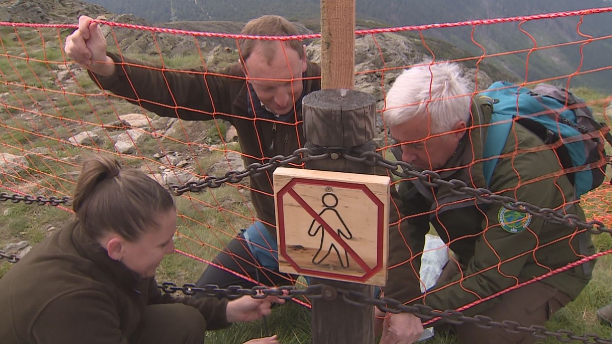 Před neukázněností a přetlakem turistů na Sněžce budou nově chránit ...