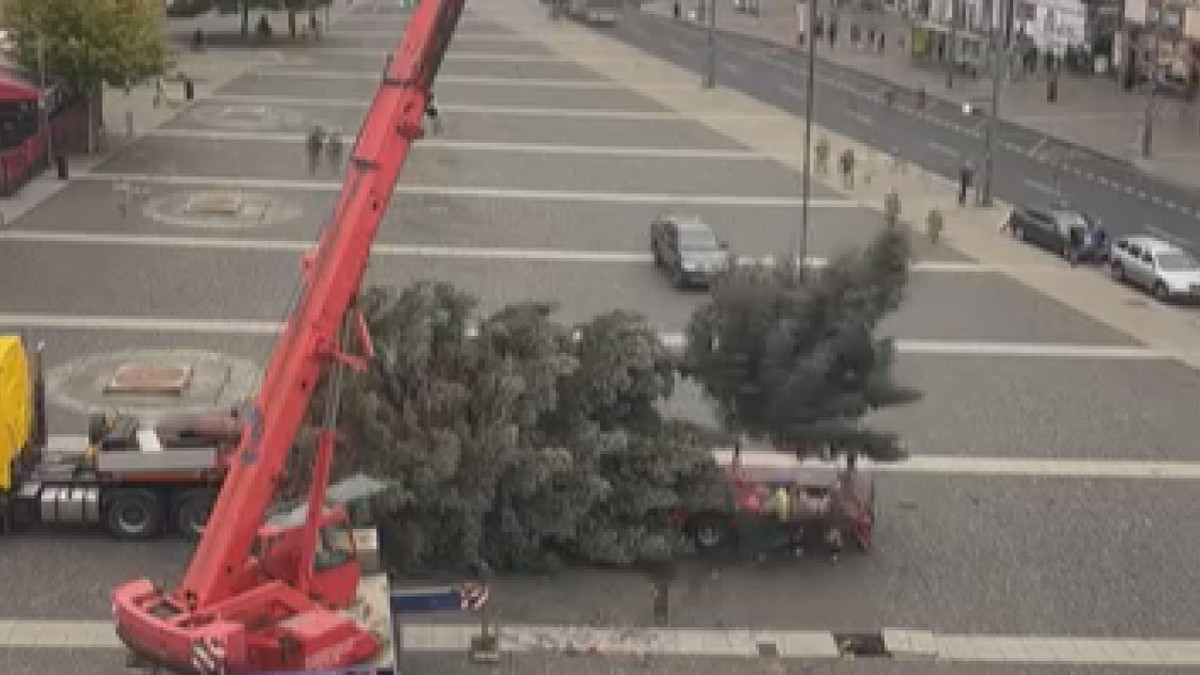 Velký trapas v Ústí. Při instalaci se jim zlomil vánoční strom | TN.cz