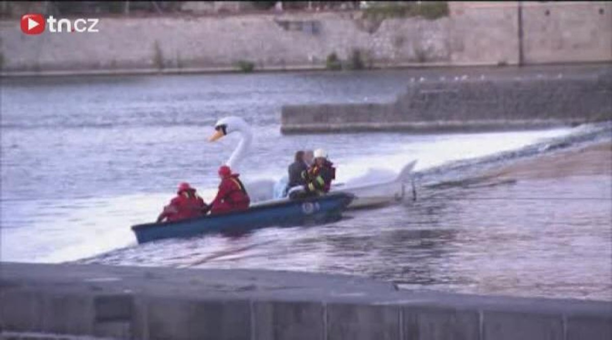 Šlapadlo uvízlo v centru Prahy na jezu | TN.cz