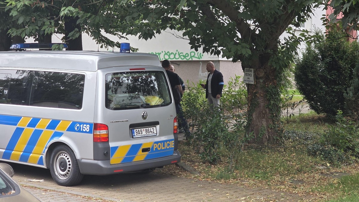 Dívku v Praze pobodala její matka. Po útoku se sama pořezala, tvrdí policie | TN.cz