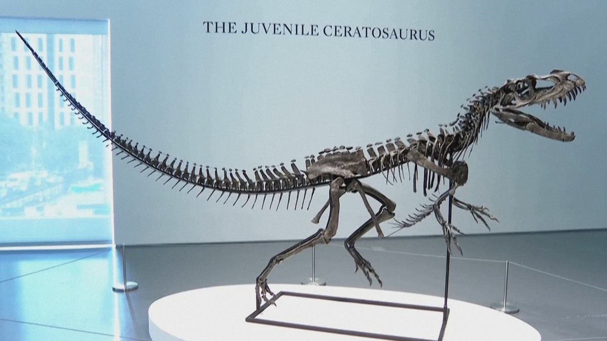 Vědci zjistili, proč měl t-rex malé přední končetiny. Důvod všechny ...