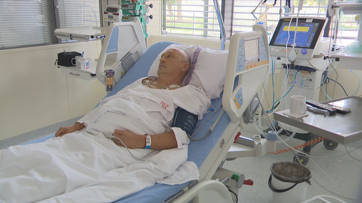 Pan Bohdan se otrávil muchomůrkou zelenou. Málem přišel o játra | TN.cz