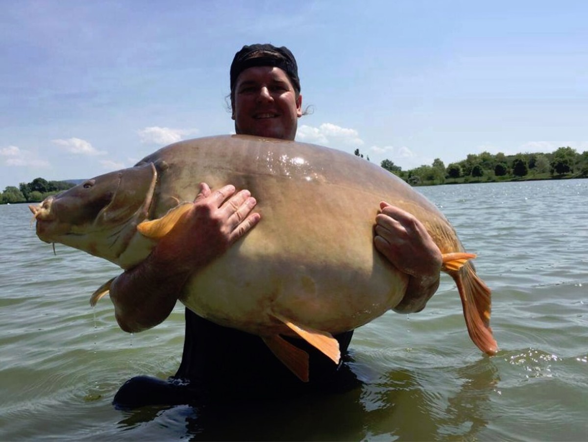 Čech ulovil největšího kapra na světě. Neuvěříte, jaké měl míry! | TN.cz