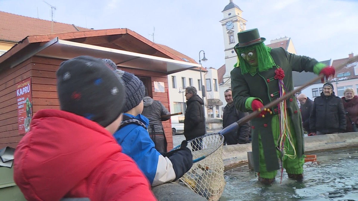 V Uherském Brodě prodává kapry vodník. Loví je v kašně | TN.cz