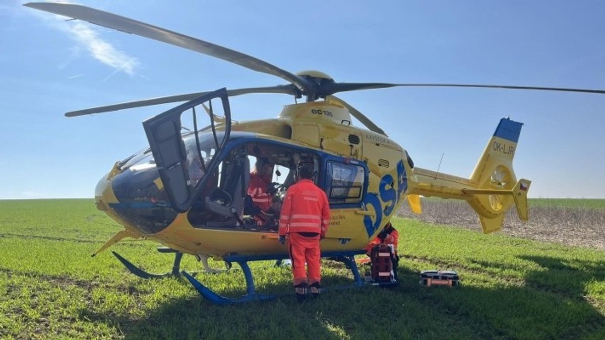 Na muže spadl strom. Záchranáři pro něj letěli vrtulníkem | TN.cz