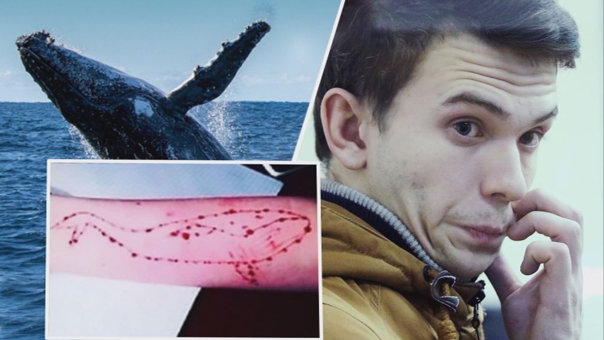 Jak vznikla Modrá velryba? Autor je zatčen, nebezpečí se ale šíří dál ...