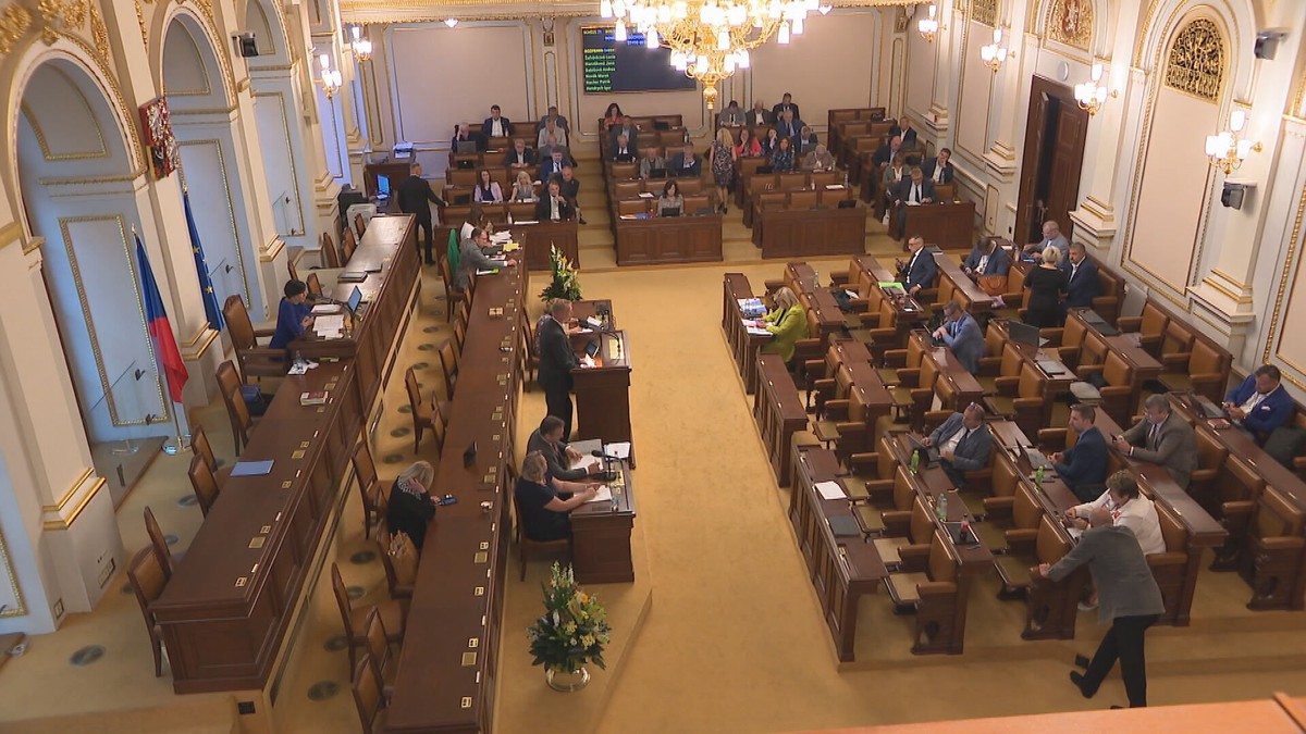 Poslanci dali zelenou superdávce. Samoživitelé přijdou o tisíce, varují Piráti | TN.cz