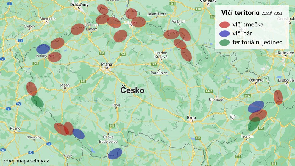 Vlci se v Česku objevují na dalších místech. MAPA, kde na ně můžete ...