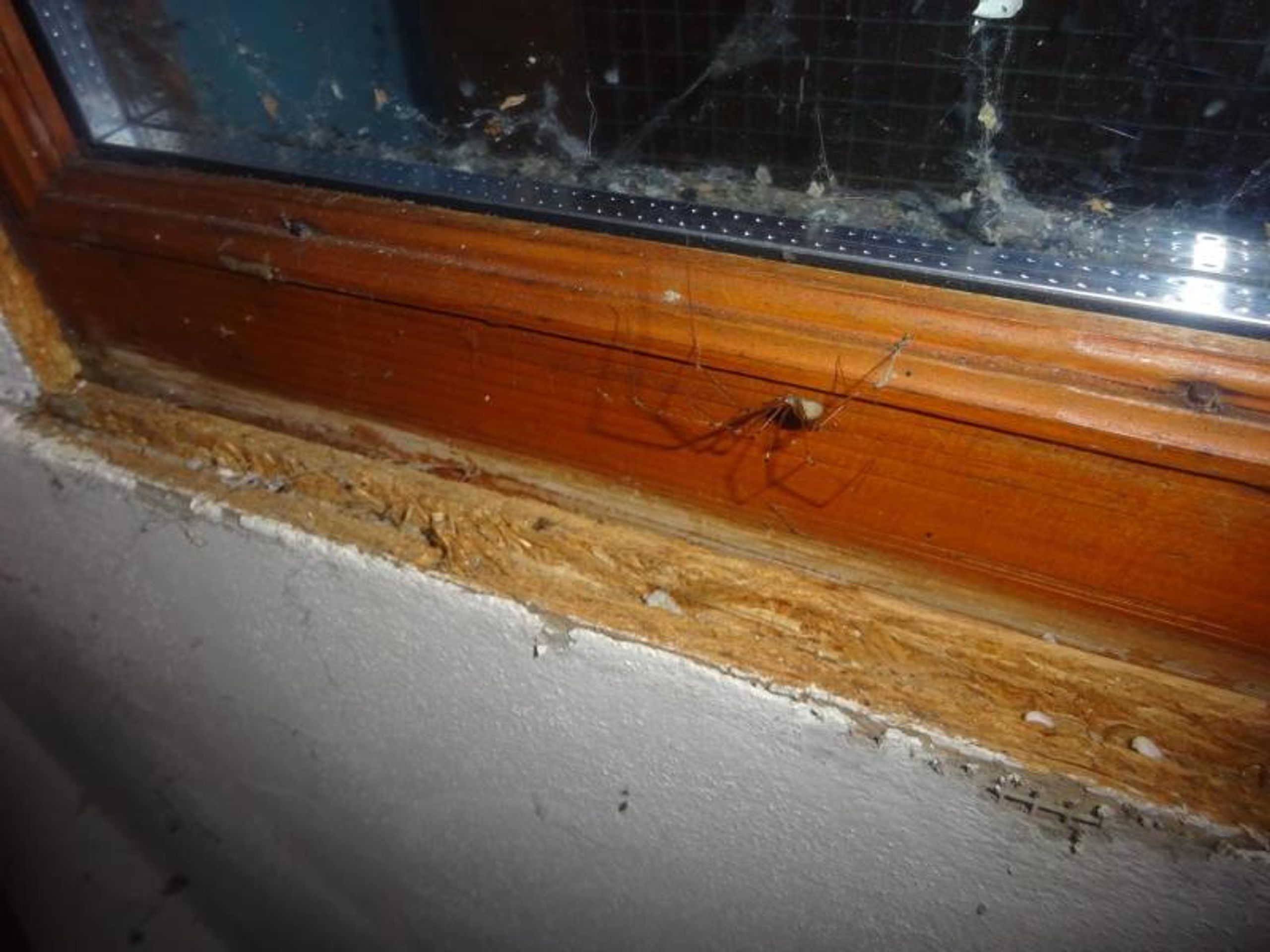 Občerstvení U Kolečka | Galerie: Uzavřené provozovny | TN.cz