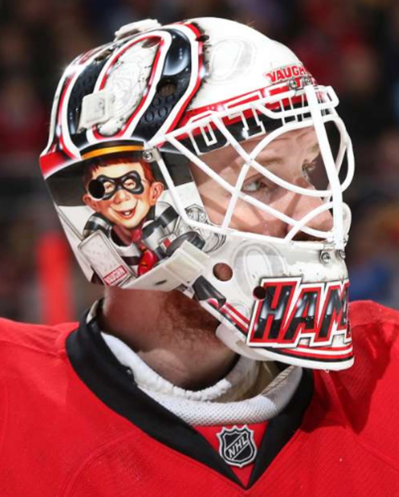 Roberto Luongo 2 | Galerie: Galerie: Která brankářská helma byla v NHL ...