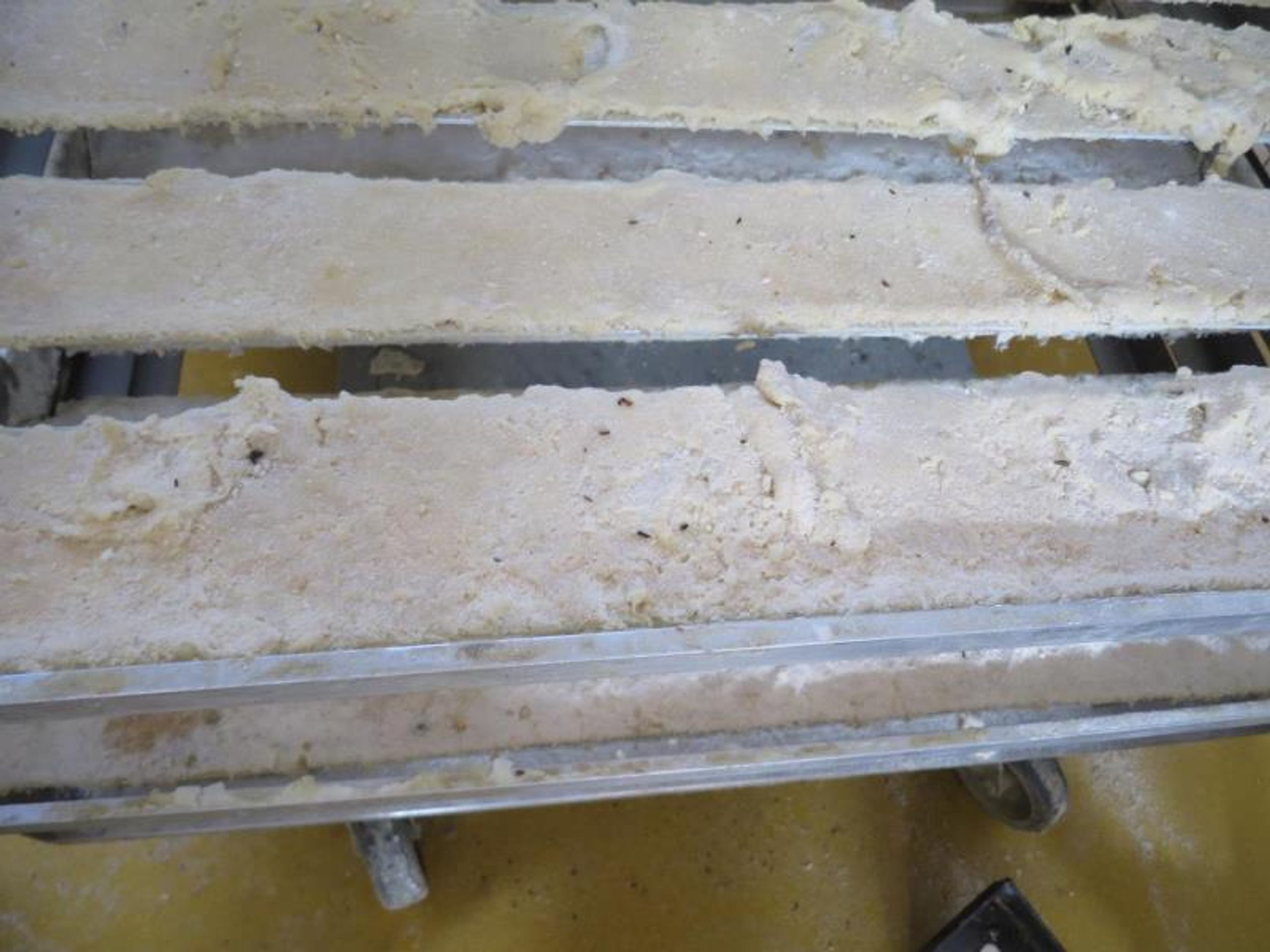 V provozovně byl myší trus i mrtví hlodavci | Galerie: Otřesné podmínky ...