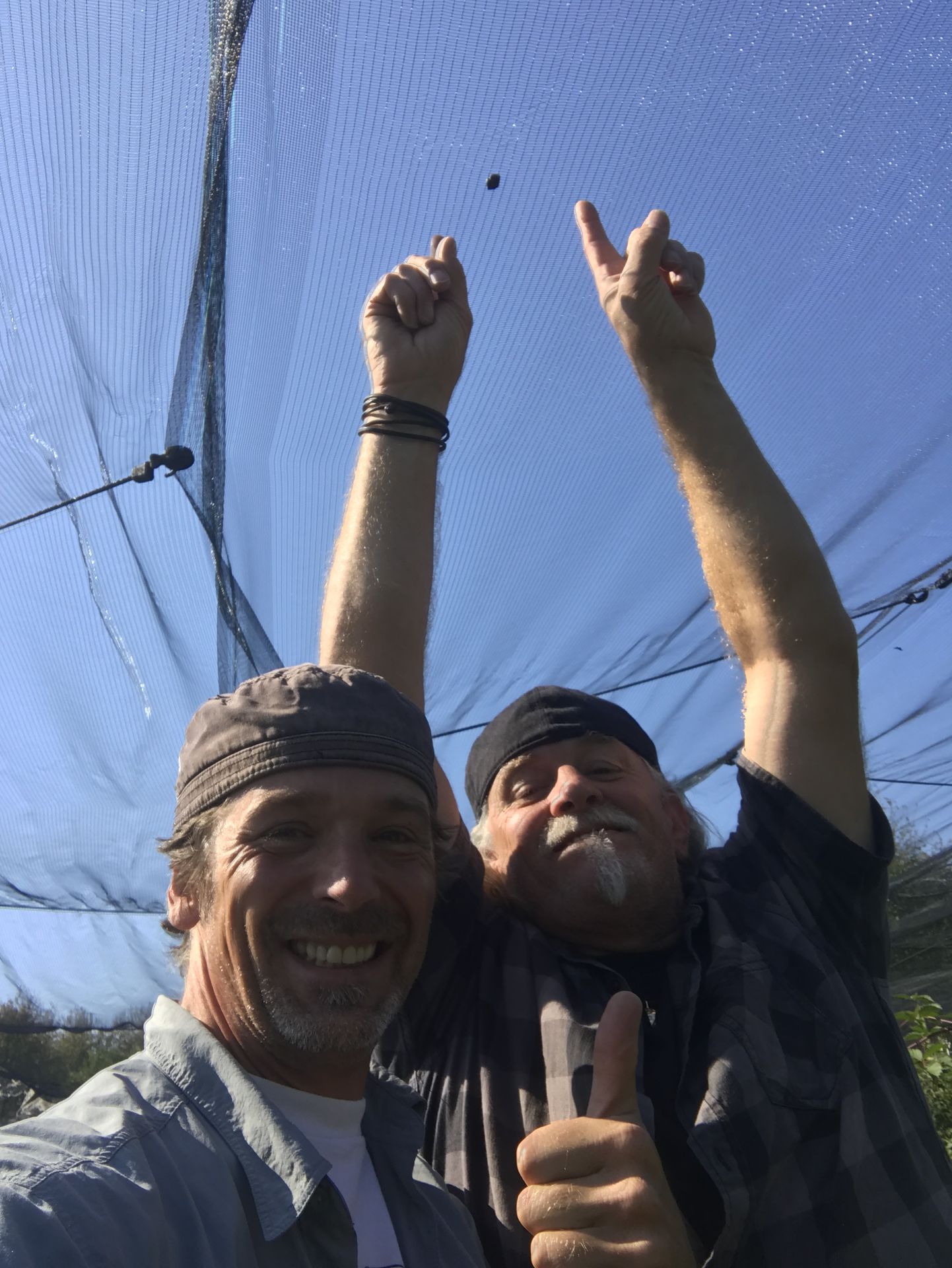 První meteorit Renchen (M1) o hmotnosti 11.9 g v nálezové pozici a s ...