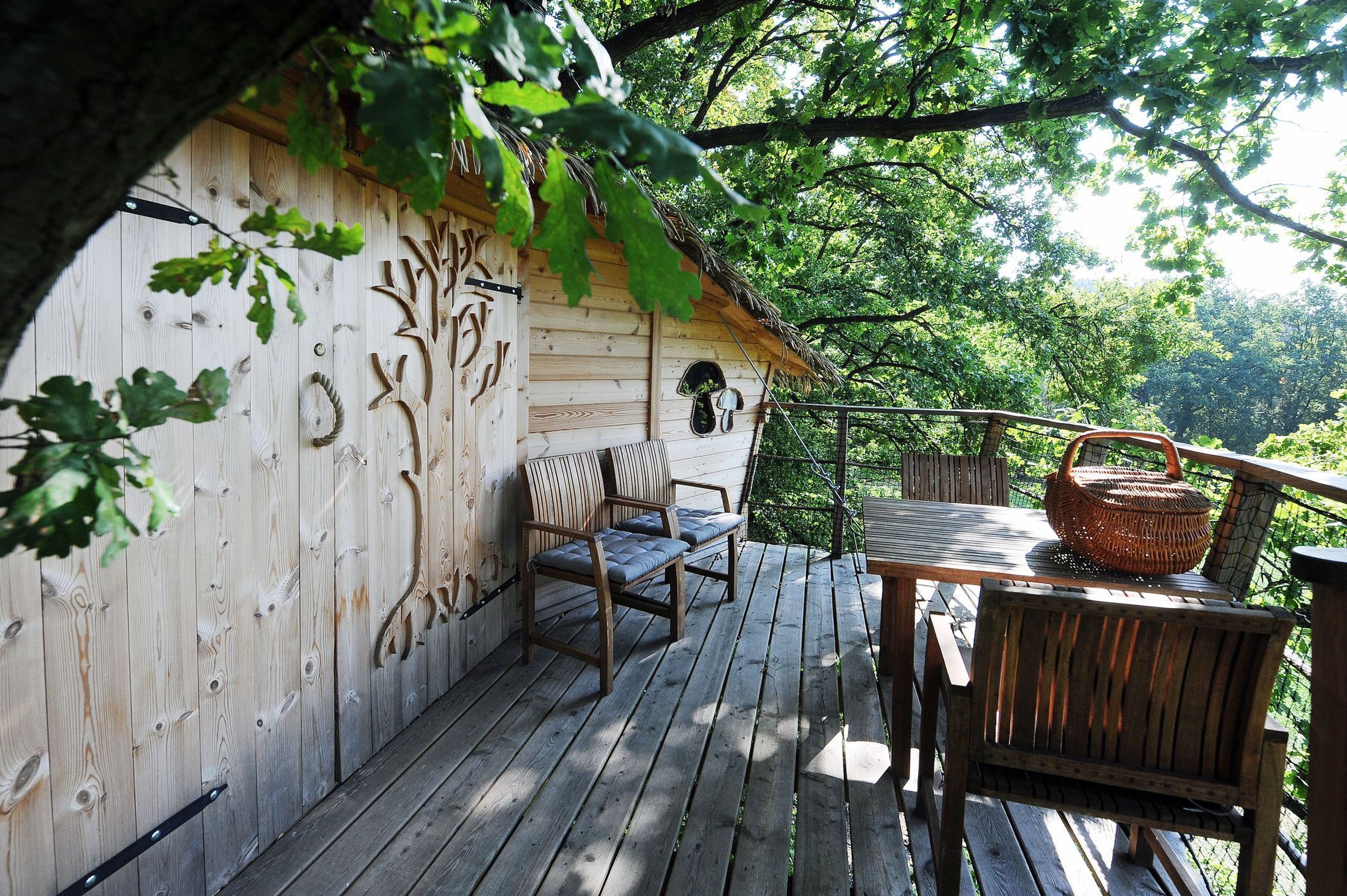 Tree house - 13 | Galerie: GALERIE: Tree house | TN.cz